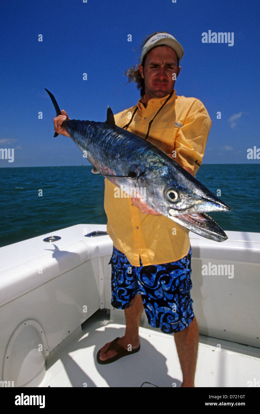 King mackerel fishing hi-res stock photography and images - Alamy