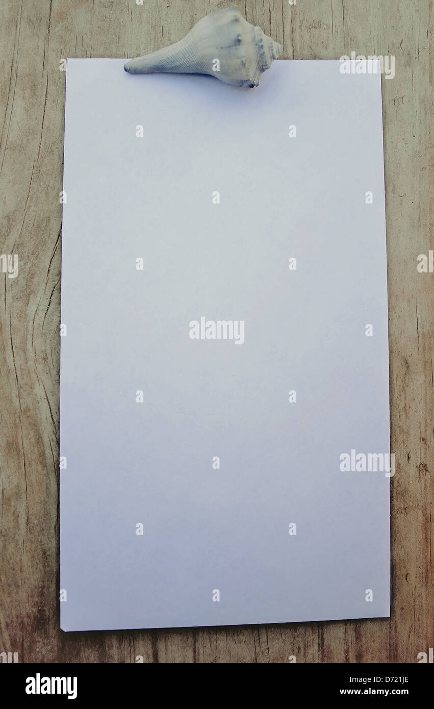 Clipboard with copy space and seashell Stock Photo - Alamy