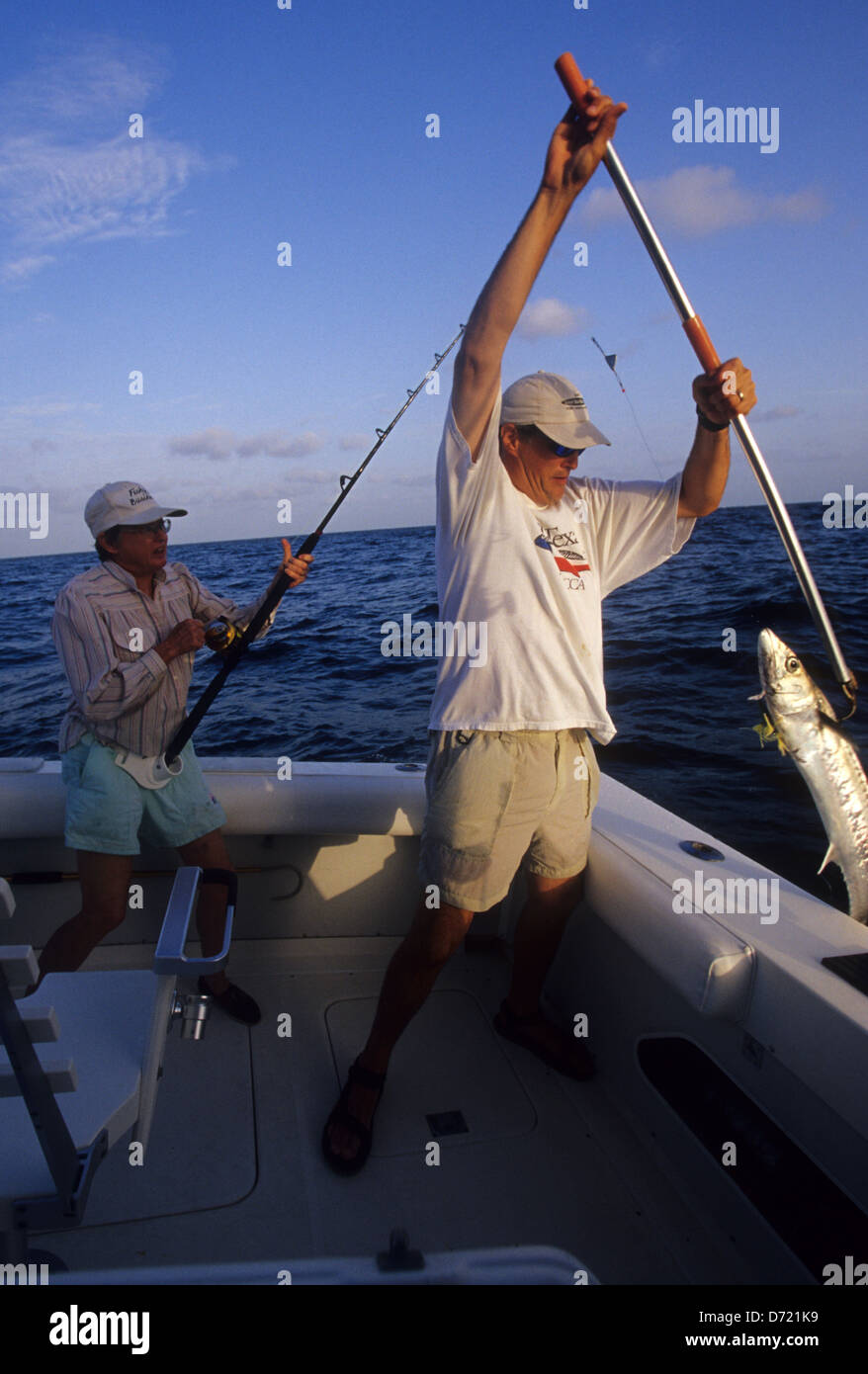 A man gaffs a King Mackerel (Scomberomorus cavalla) for a lady angler ...