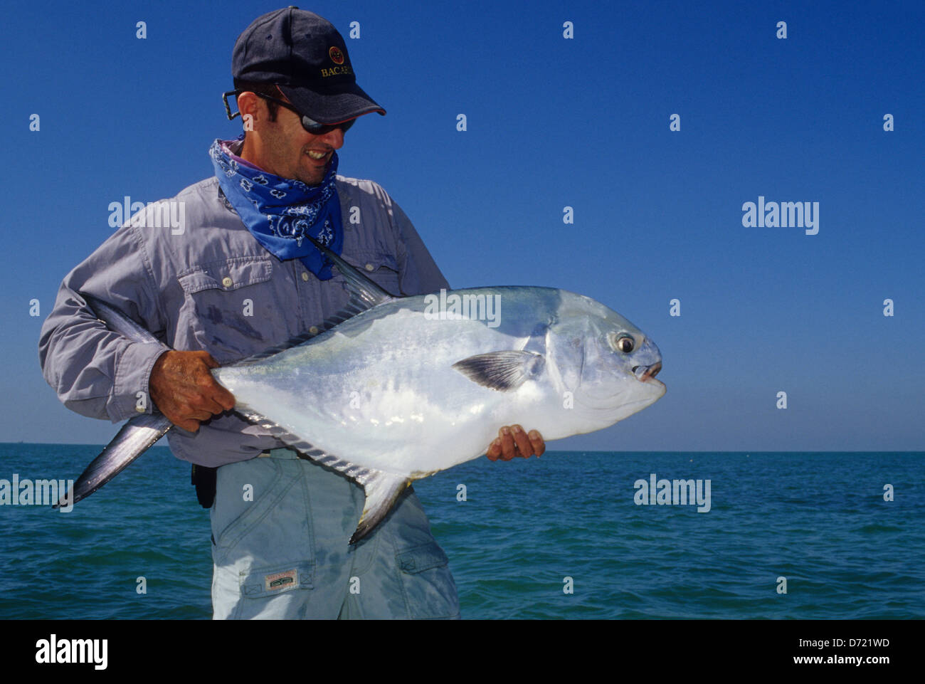 Permit trachinotus falcatus hi-res stock photography and images - Alamy