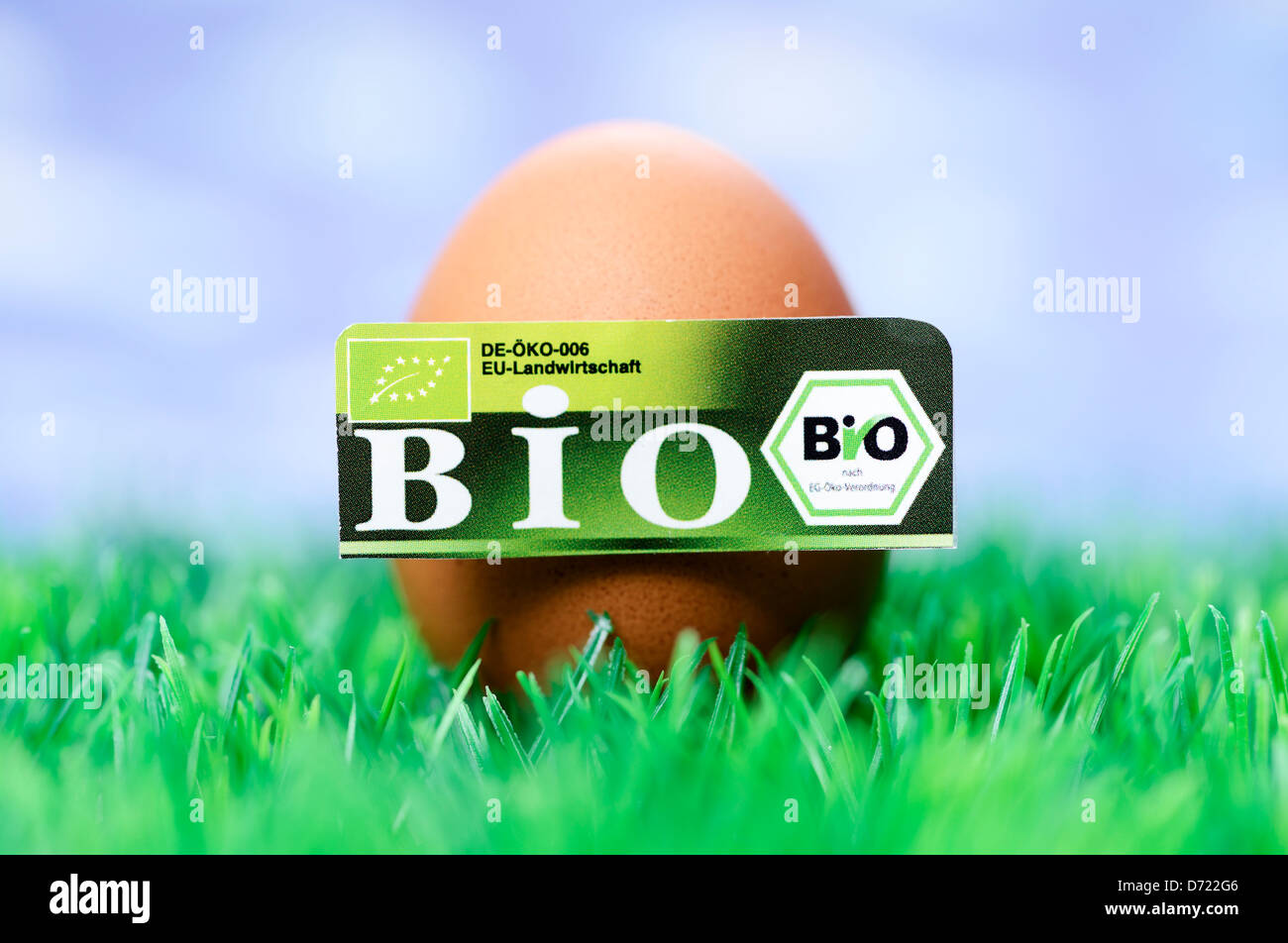 Seal Pictures High Resolution Stock Photography and Images - Alamy