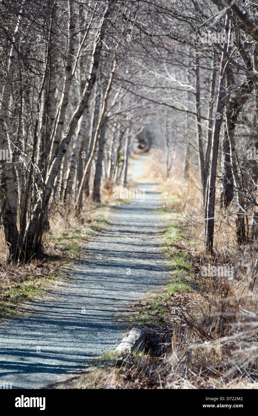 The charming Jesup Trail beckons the hiker onward through a narrow ...