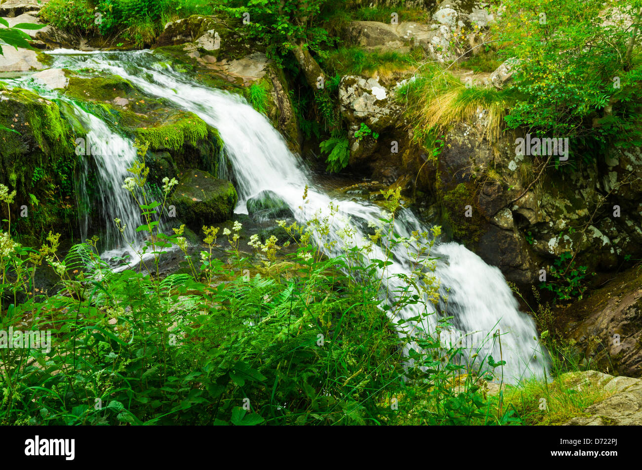 High Force waterfall on Aira Beck in the Lake District National Park ...