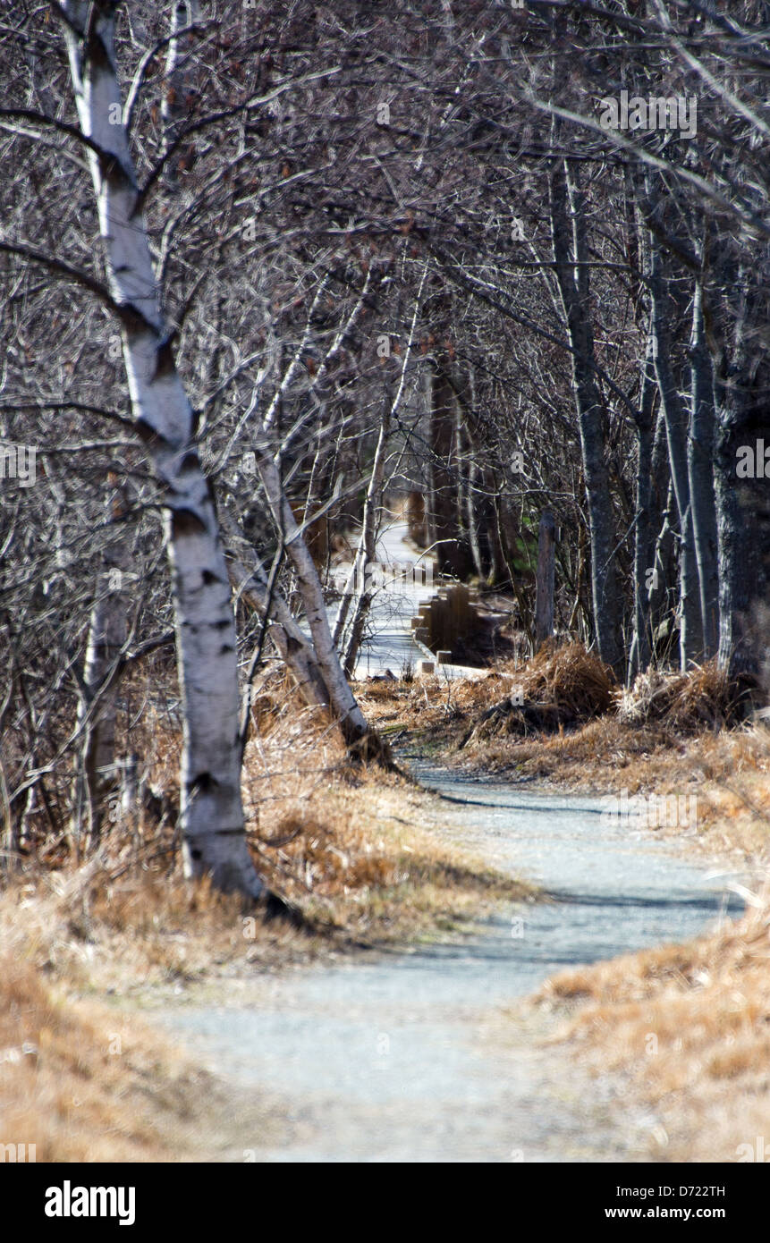 The Jesup Trail, a narrow hiking path, twists through the woods of ...