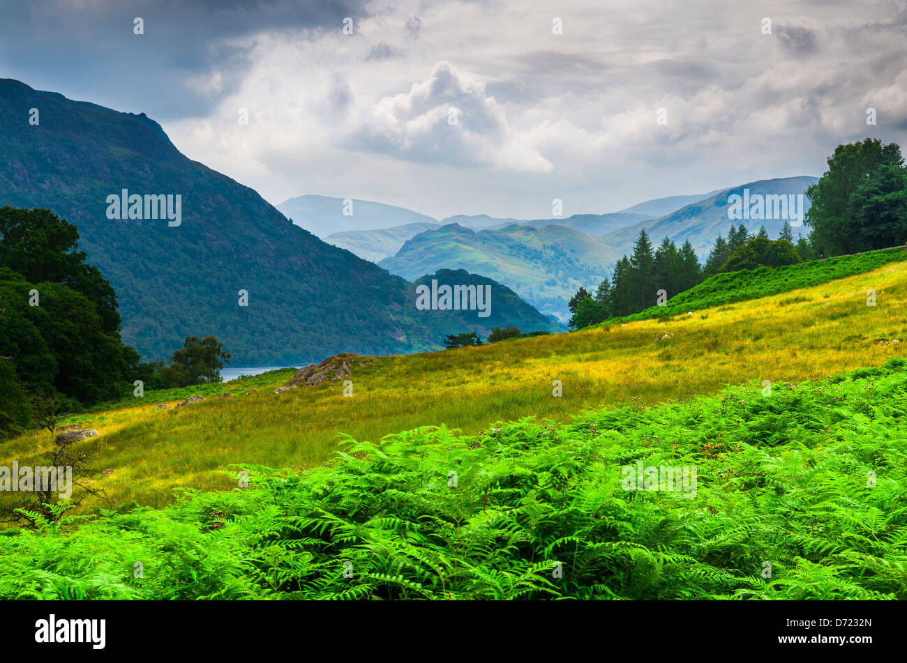 Place Fell and surrounding fells of Ullswater viewed from the slopes of ...