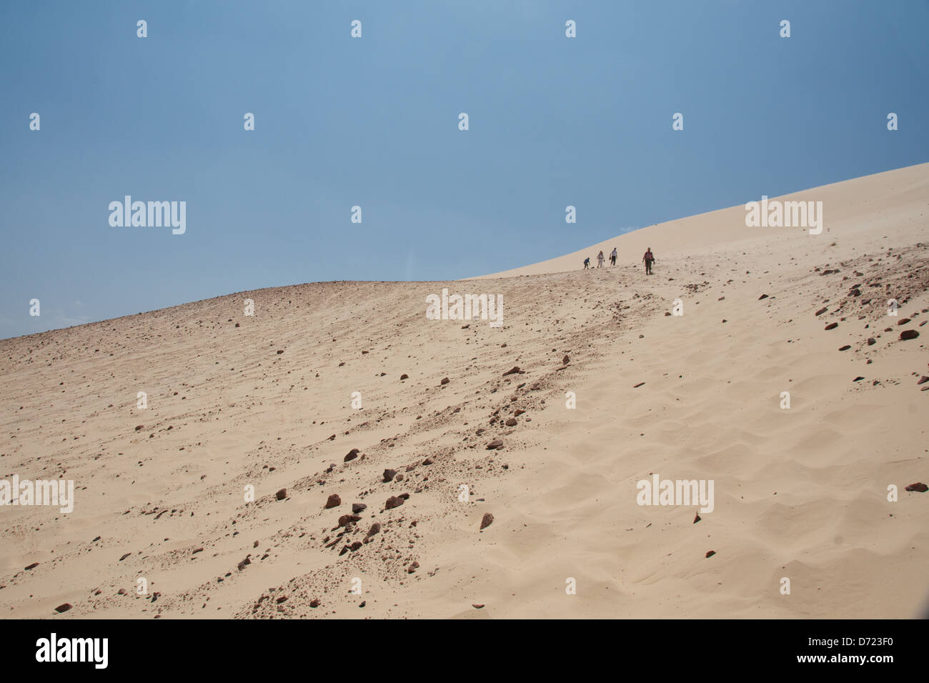 Blue desert sinai desert hi-res stock photography and images - Alamy