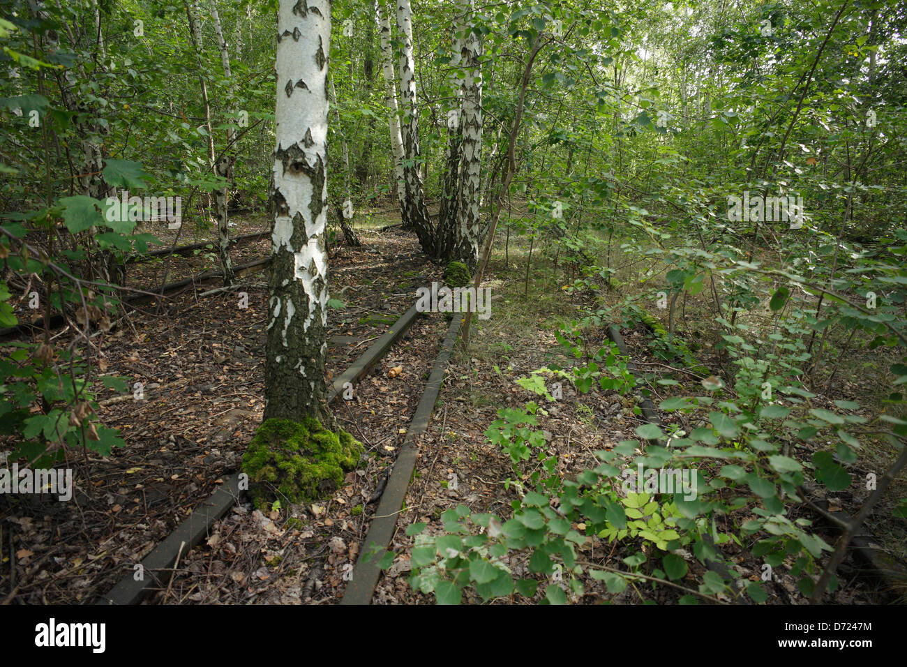 Berlin train tracks plants hi-res stock photography and images - Alamy