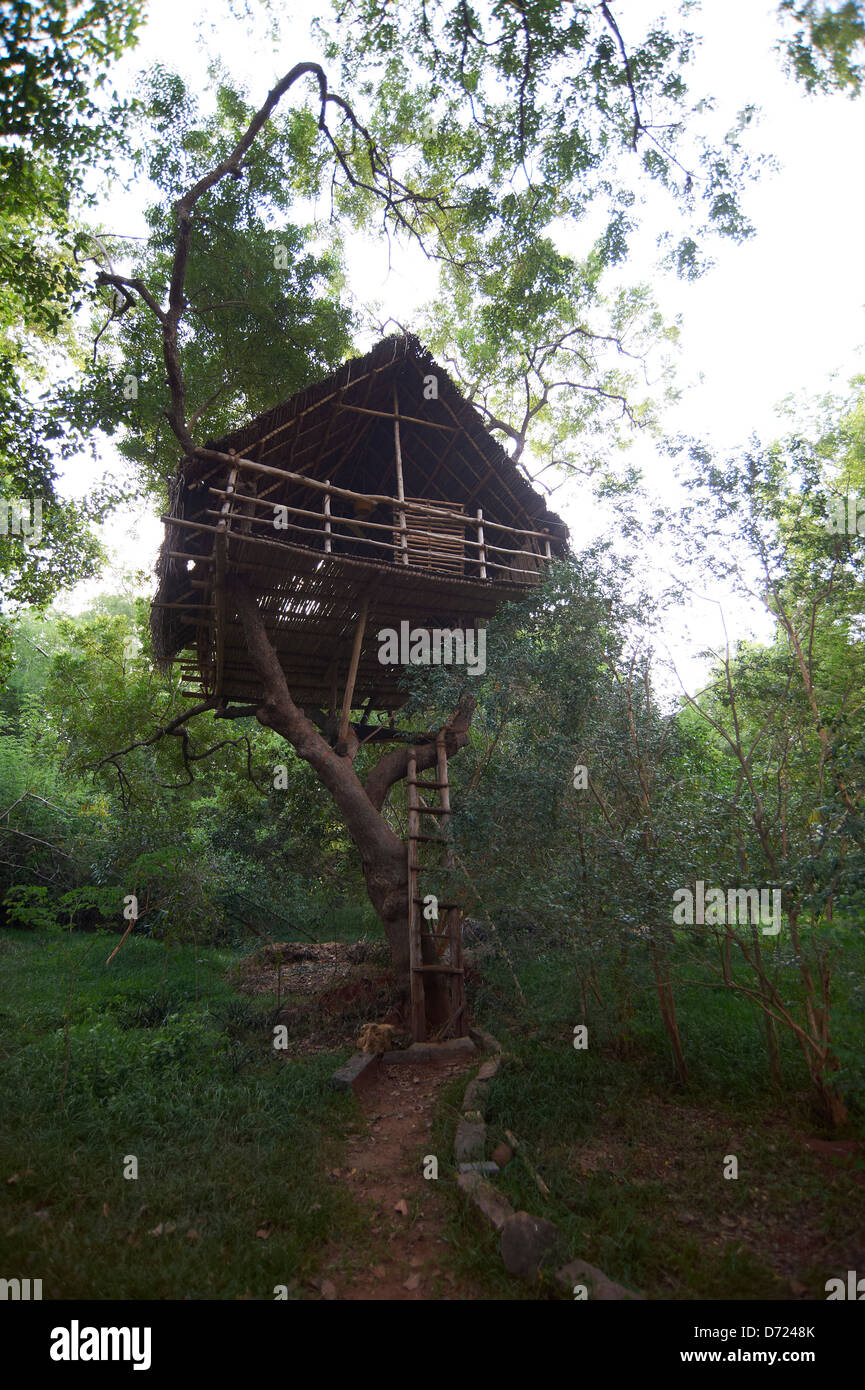 Tree house at Auroville in India Stock Photo - Alamy