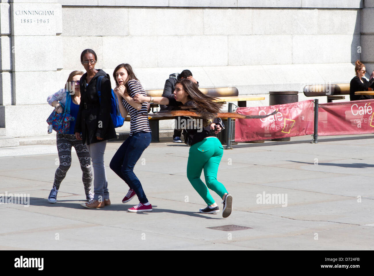 Trafalgar Square, London, UK, 25th April 2013. This pigeon scaring ...