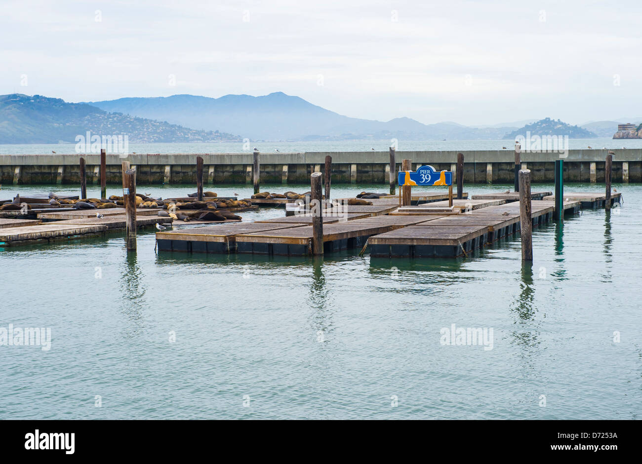 Famous pier 39 at the Fisherman's Wharf in San Francisco Stock Photo ...
