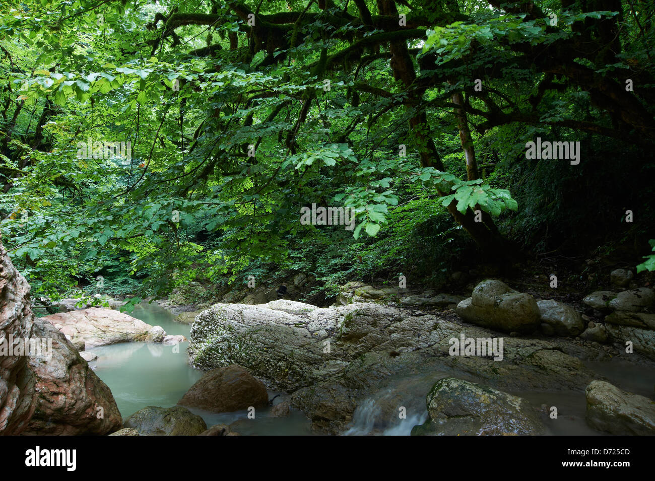 North Of Iran High Resolution Stock Photography and Images - Alamy