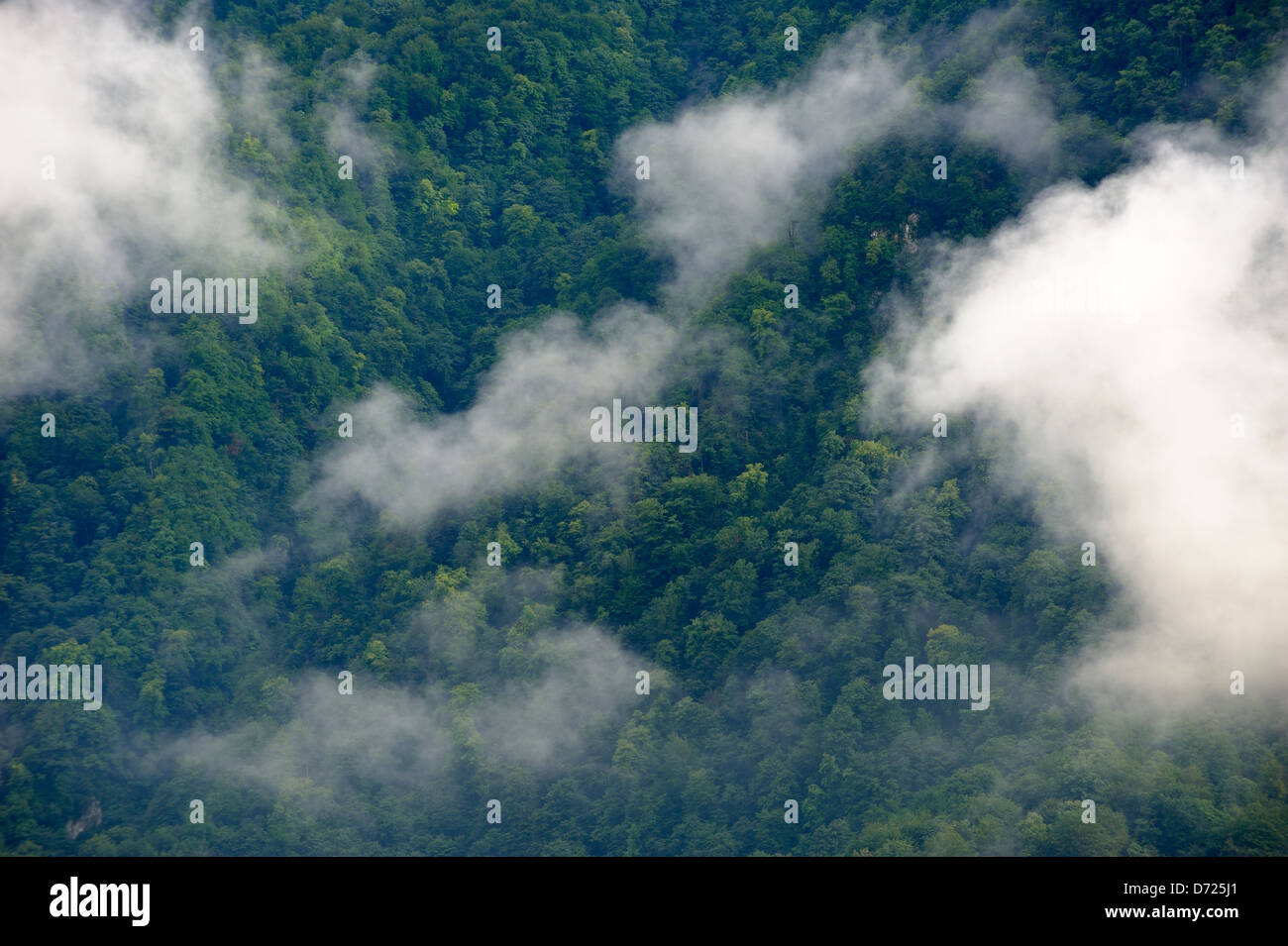 Cloud forest covered mountains in Northern Iran Stock Photo - Alamy