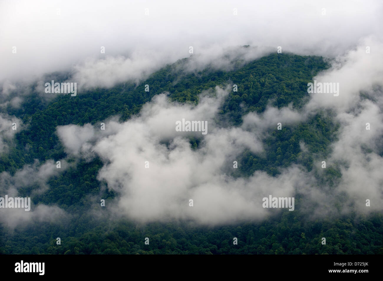 Cloud forest covered mountains in Northern Iran Stock Photo - Alamy