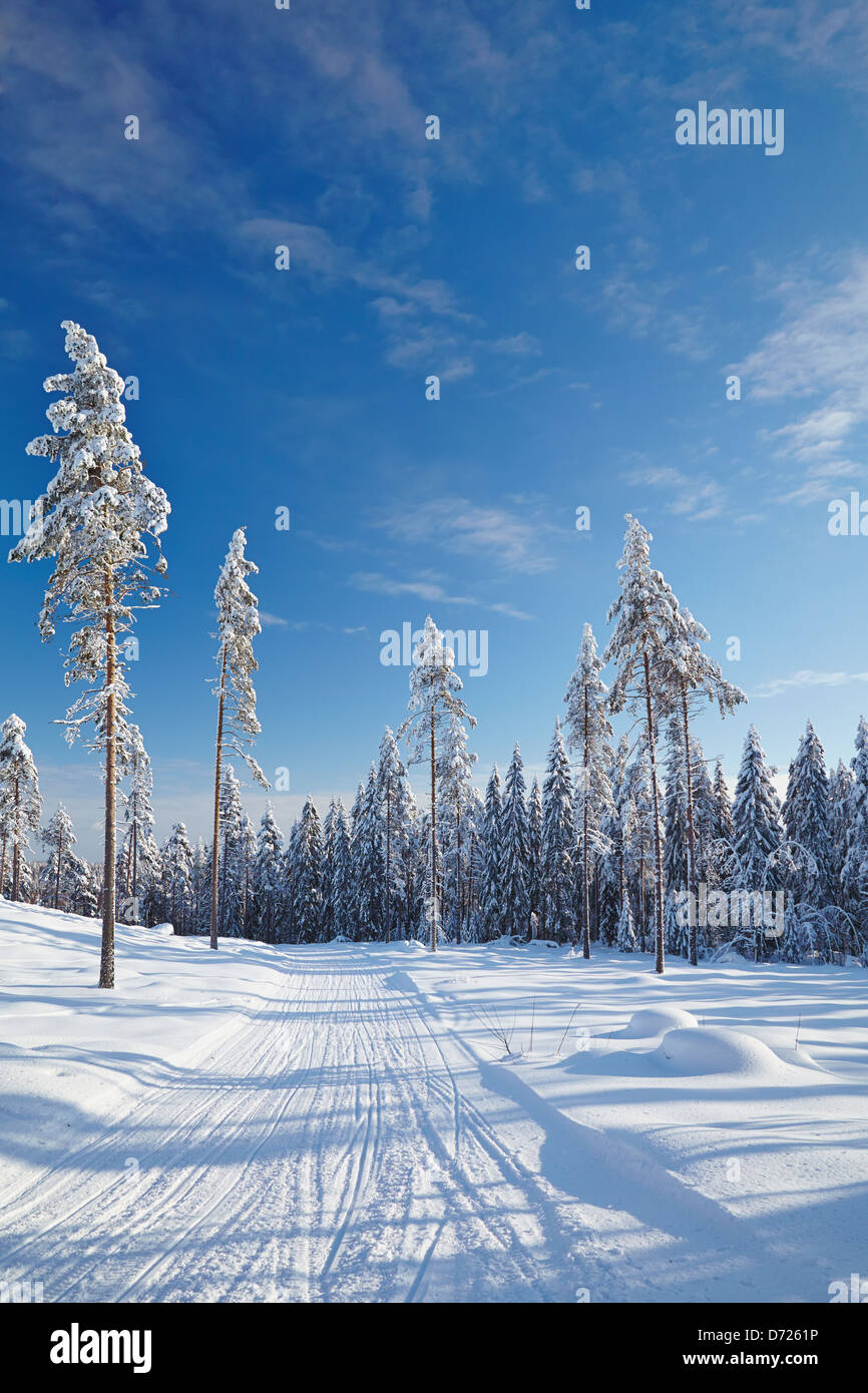 Snow field motion in winter hi-res stock photography and images - Alamy