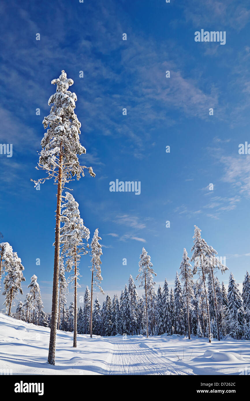 Empty snow covered rural road hi-res stock photography and images - Alamy