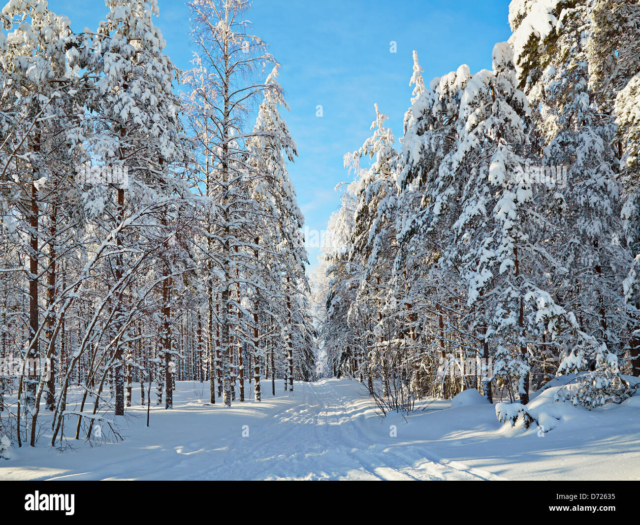 Country track in sunshine hi-res stock photography and images - Alamy