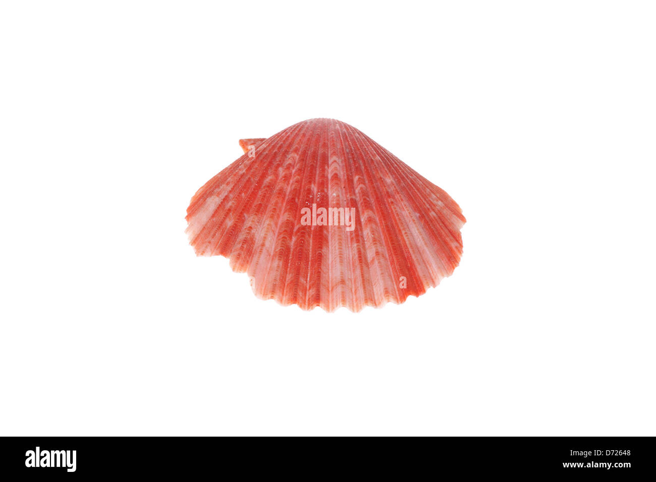 Beach background images Cut Out Stock Images & Pictures - Alamy