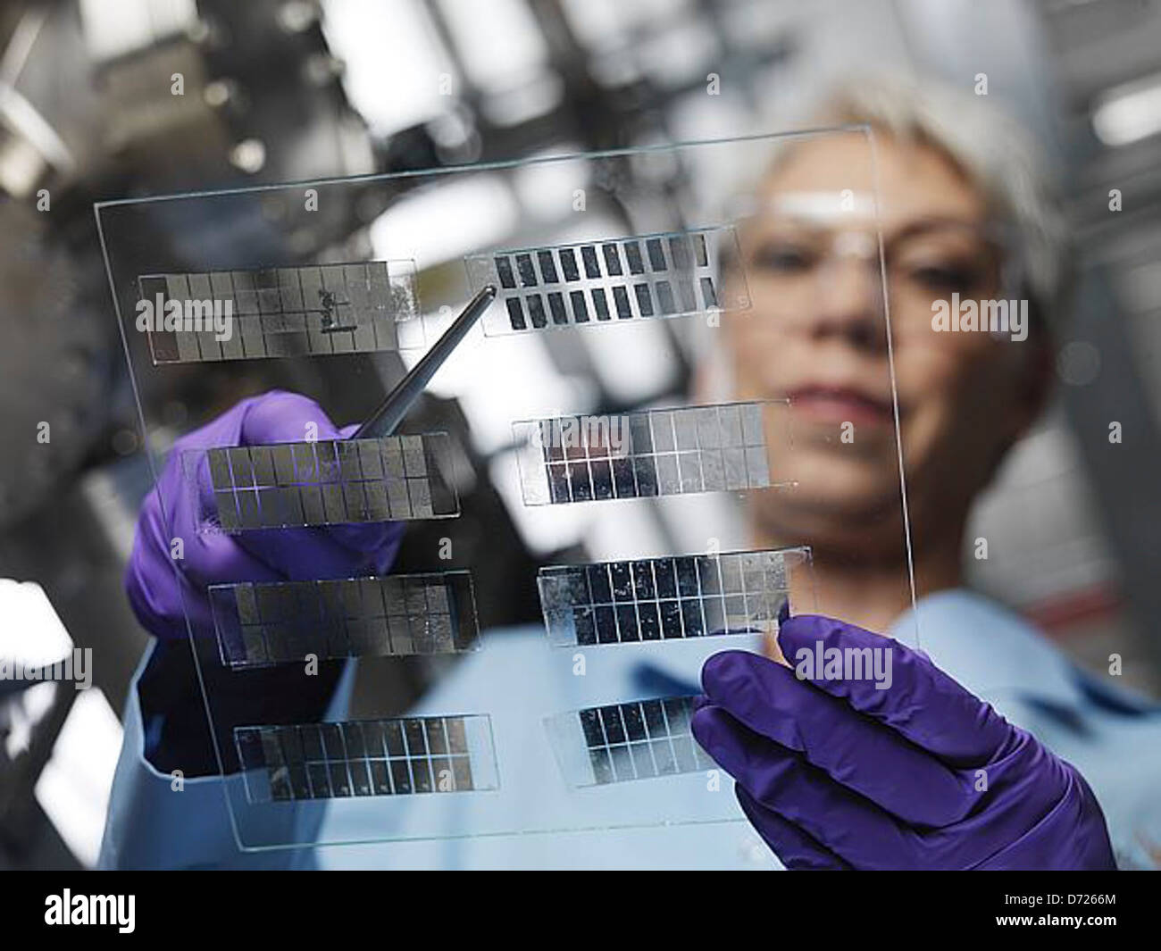 Pacific northwest lab hi-res stock photography and images - Alamy