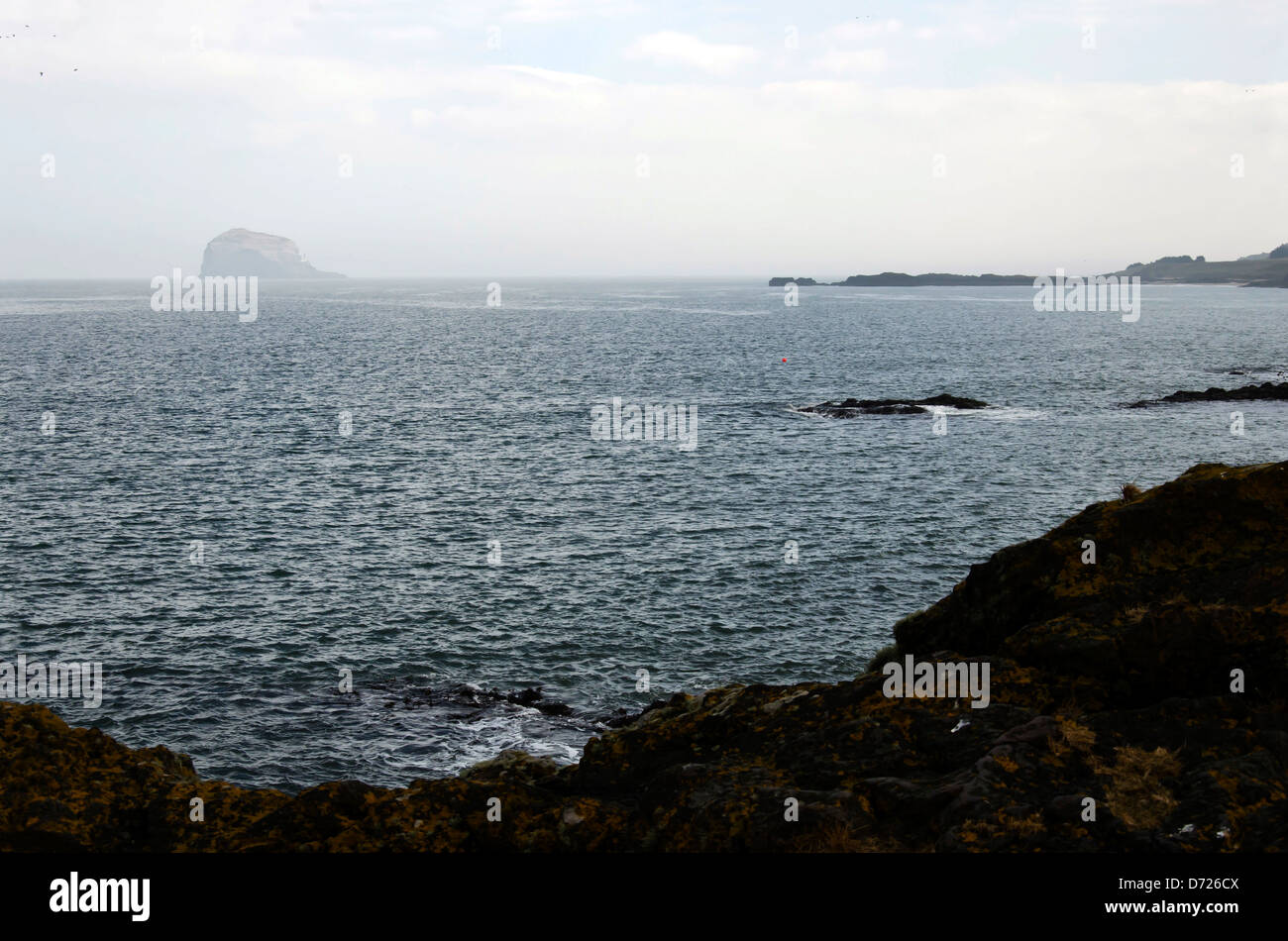 The Bass Rock, a well-known gannet nesting place from North Berwick in ...