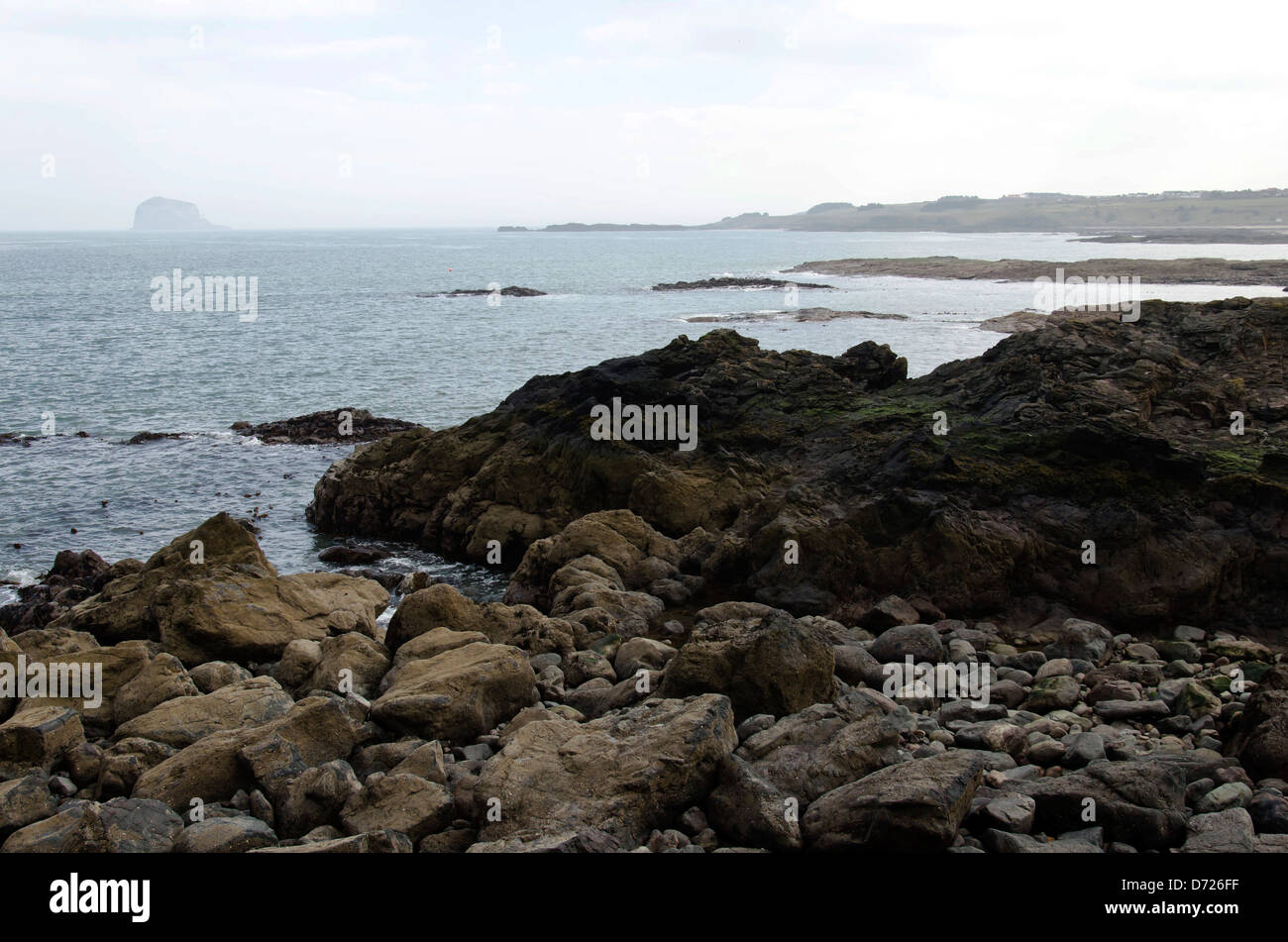 The Bass Rock, a well-known gannet nesting place from North Berwick in ...