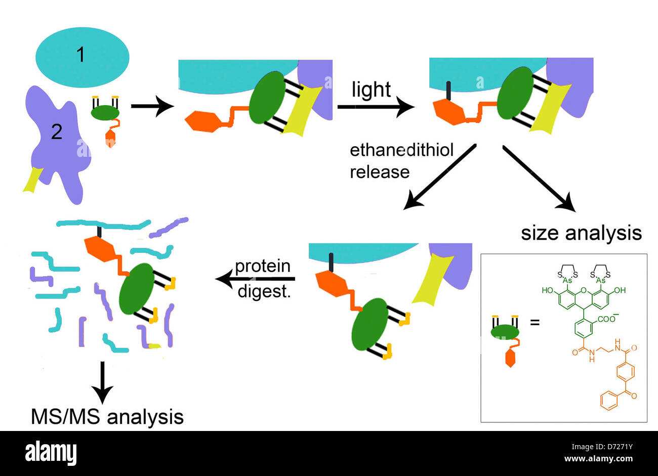 PNNL's TRAP technology is designed for protein research, enabling ...