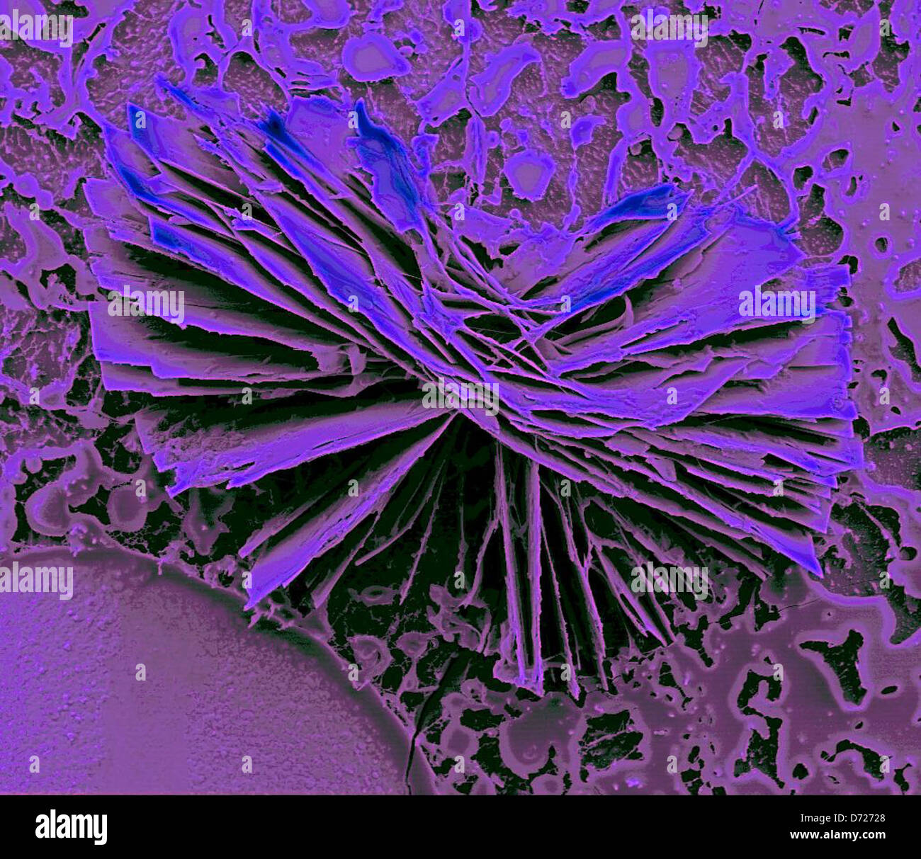 Research focuses on structure hi-res stock photography and images - Alamy