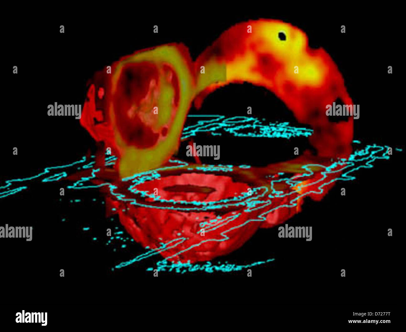 Xenopus cell hi-res stock photography and images - Alamy