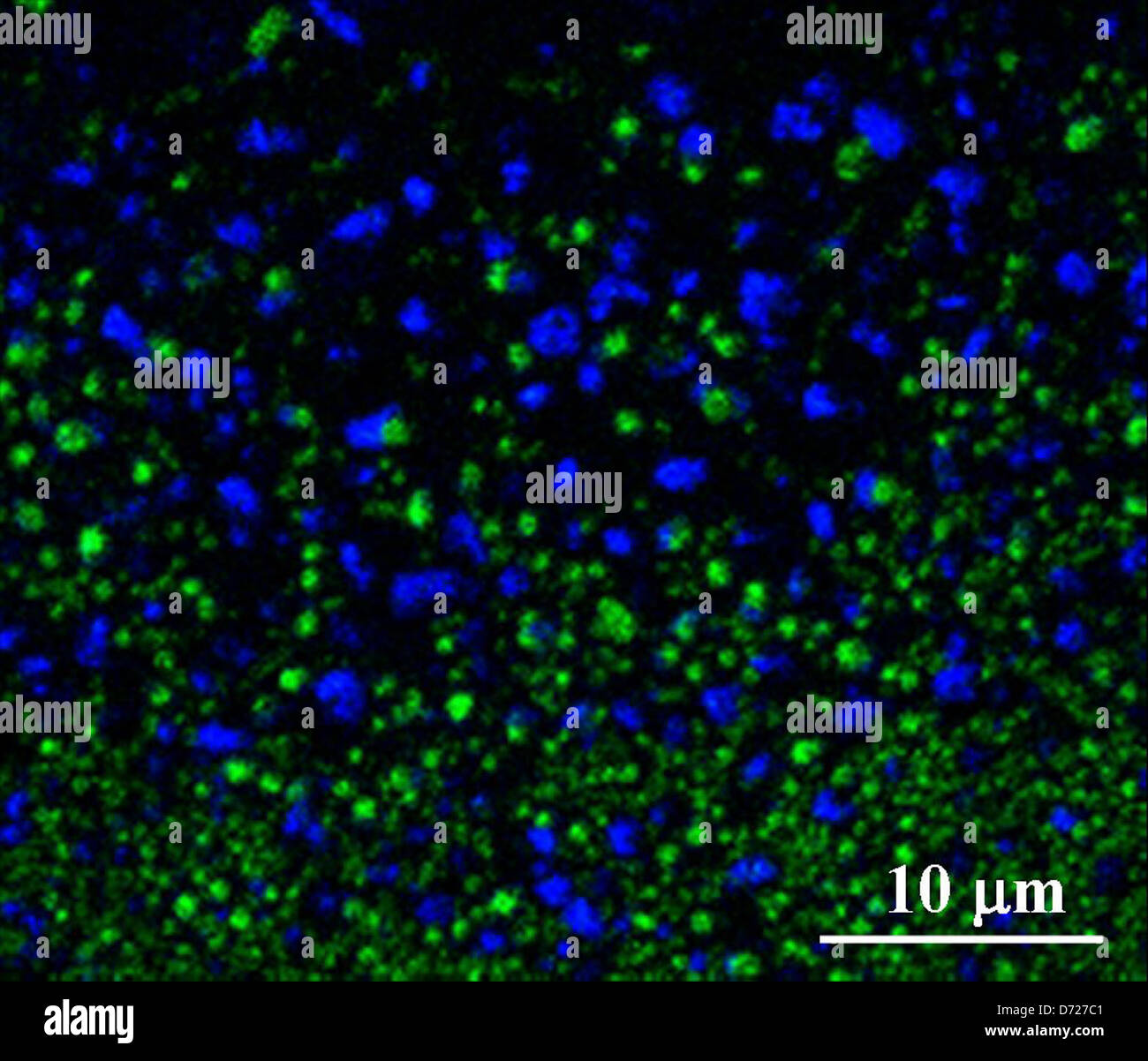 Ionic Map of atmospheric particles Stock Photo - Alamy