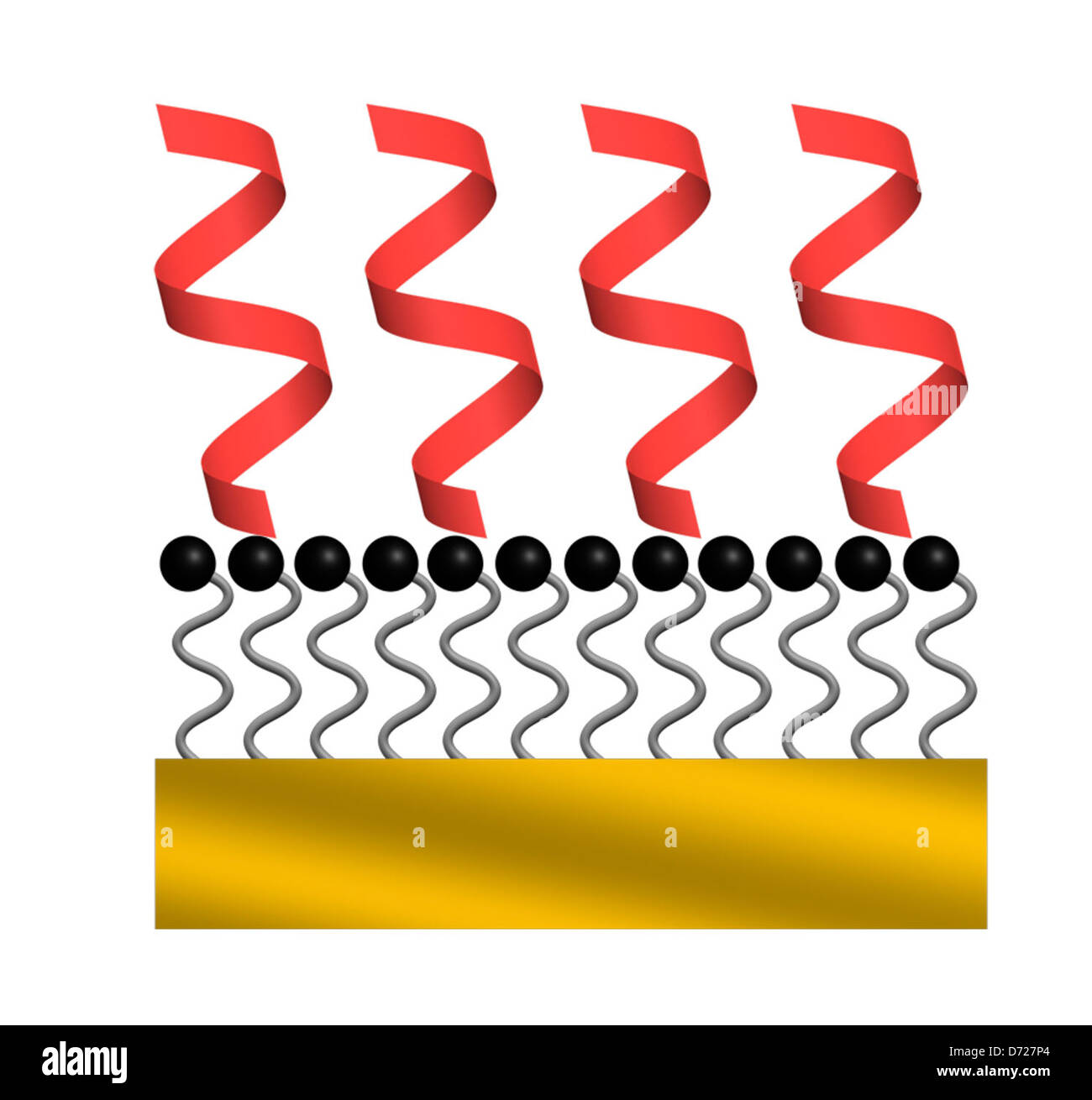 Sprung Out #2 Stock Photo - Alamy