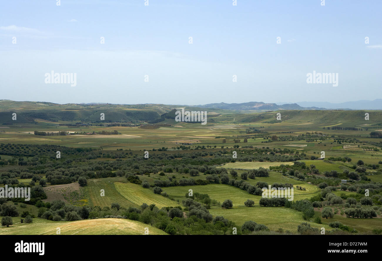 Tuili, Italy, view from the Giara Gesturi in the hilly landscape ...