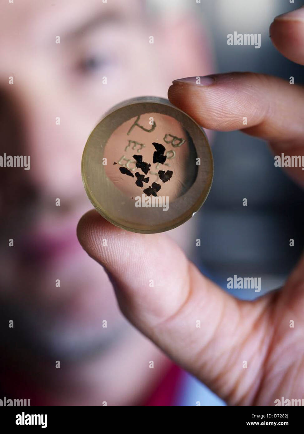 PNNL conducts research on carbon capture and storage (CCS) using basalt ...