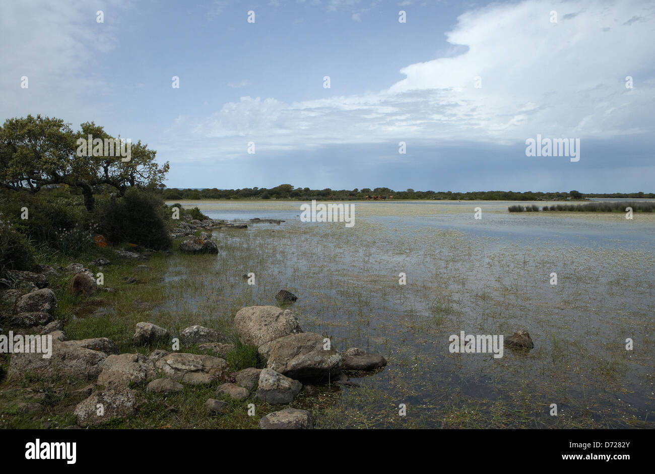 Tuili, Italy, the landscape of the Giara of Gesturi Stock Photo - Alamy
