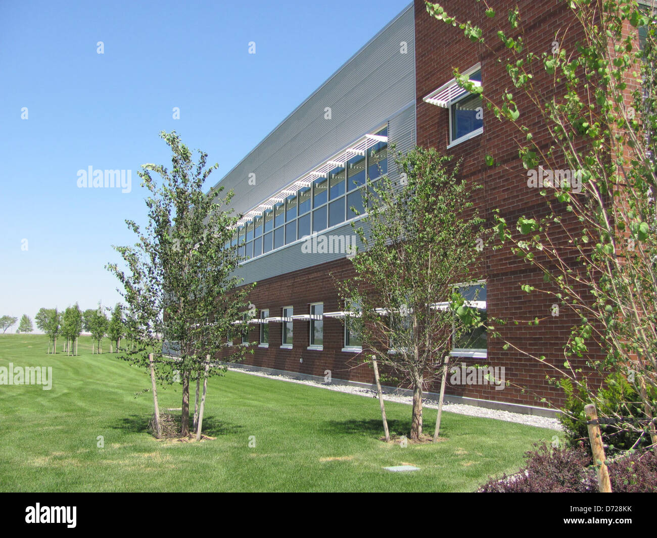 Bsf hi-res stock photography and images - Alamy