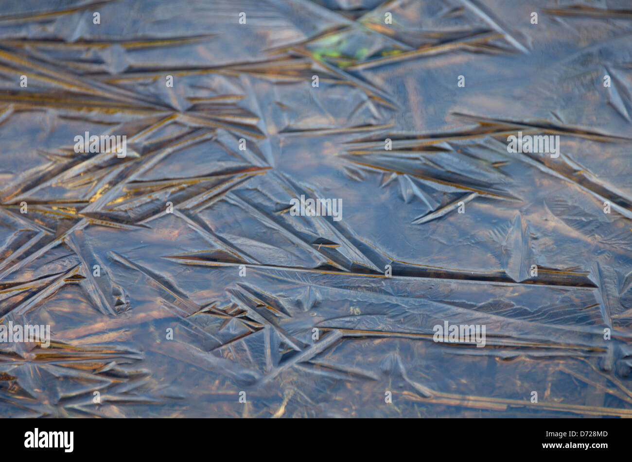 Skim hi-res stock photography and images - Alamy