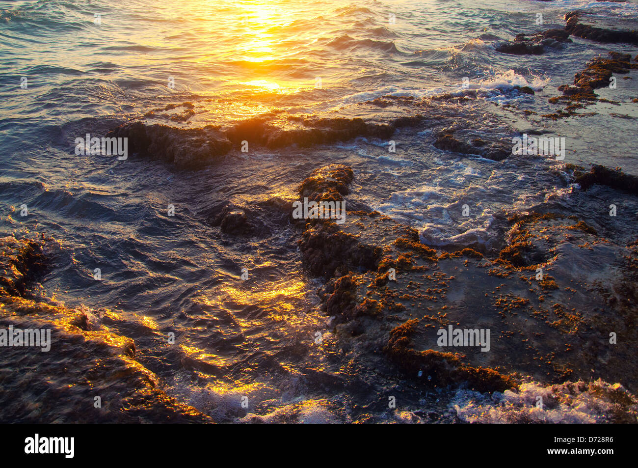 Cyprus seashore hi-res stock photography and images - Alamy