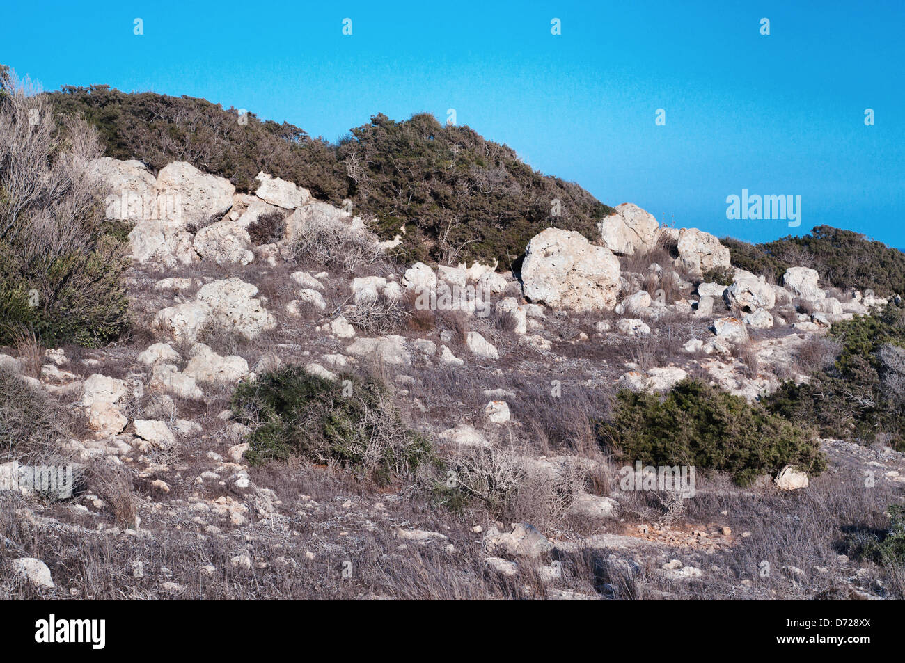Cyprian wild rocky landscape, bush and grass on rocks Stock Photo - Alamy