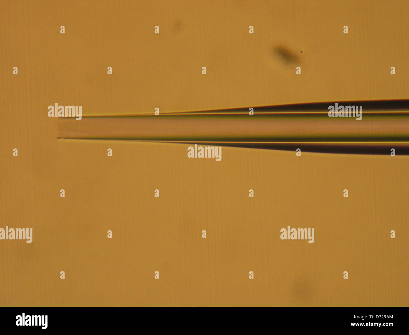 Research Sample Analysis Stock Photo - Alamy