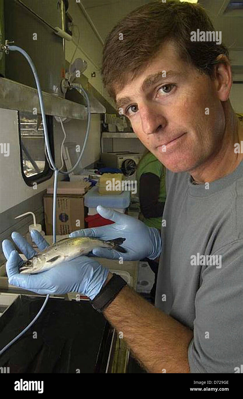 Geoff McMichael, a fish ecologist at PNNL, studies the impact of dams ...