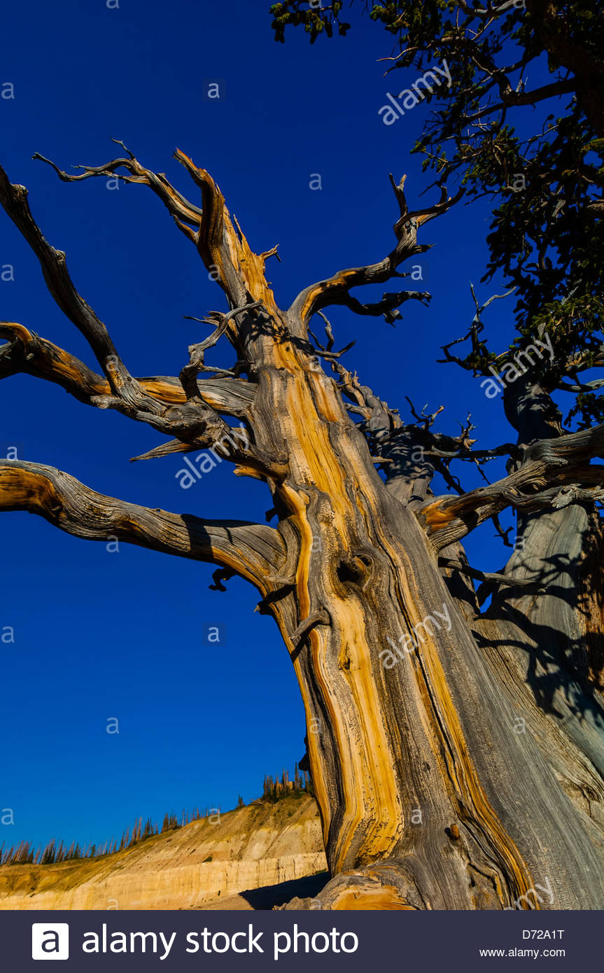 1600 S Stock Photos & 1600 S Stock Images - Alamy
