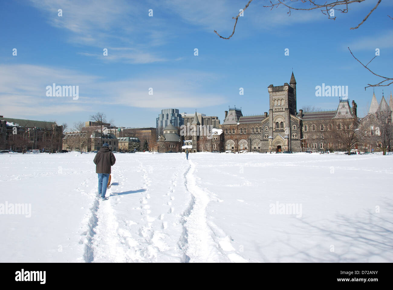 University toronto in winter hi-res stock photography and images - Alamy