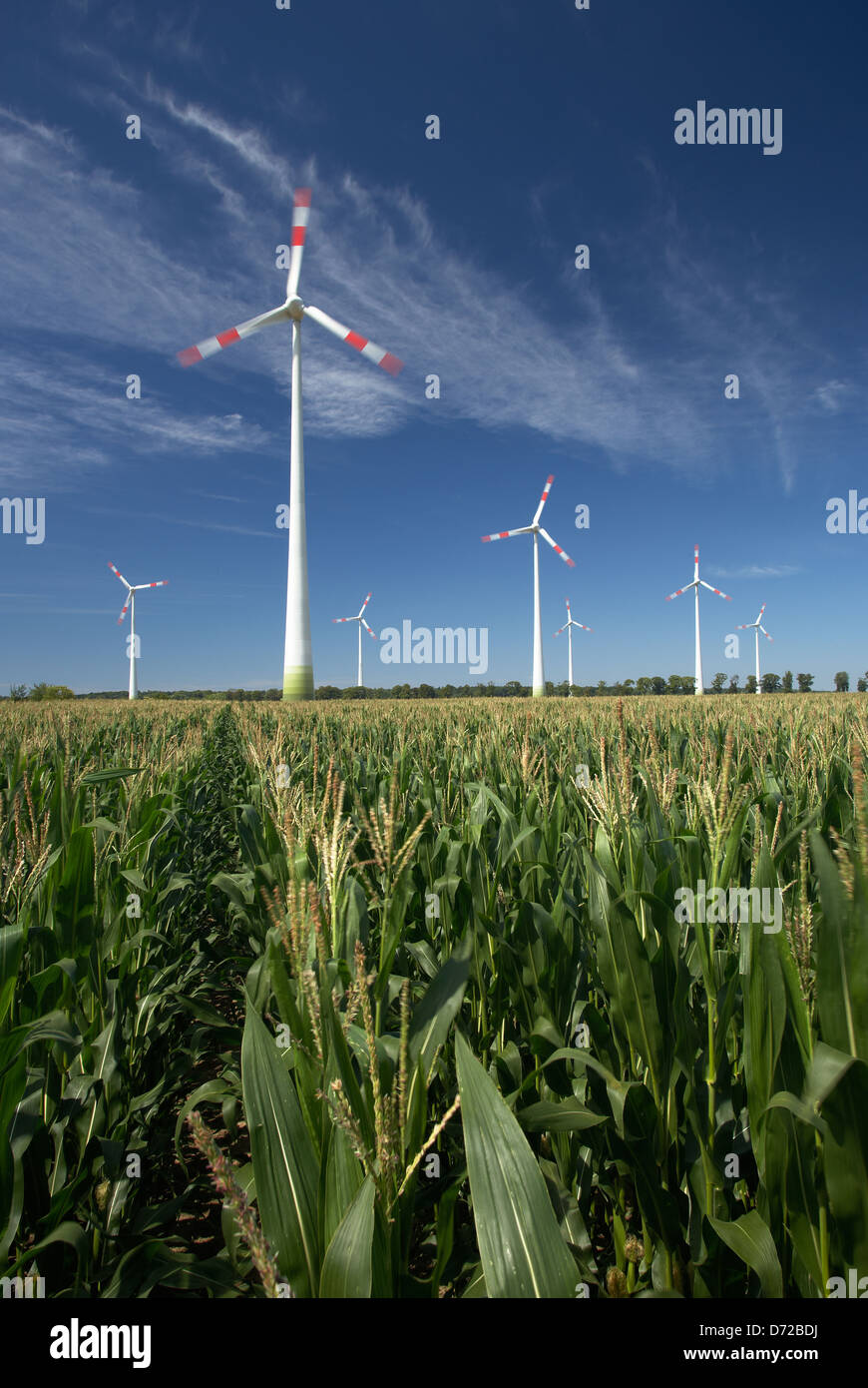 Western windraeder hi-res stock photography and images - Alamy