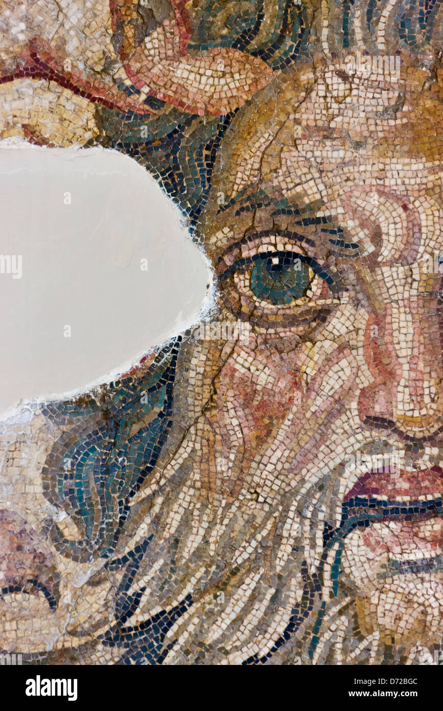Mosaic of God of Ocean mosaic, Bardo National Museum, Tunis, Tunisia ...