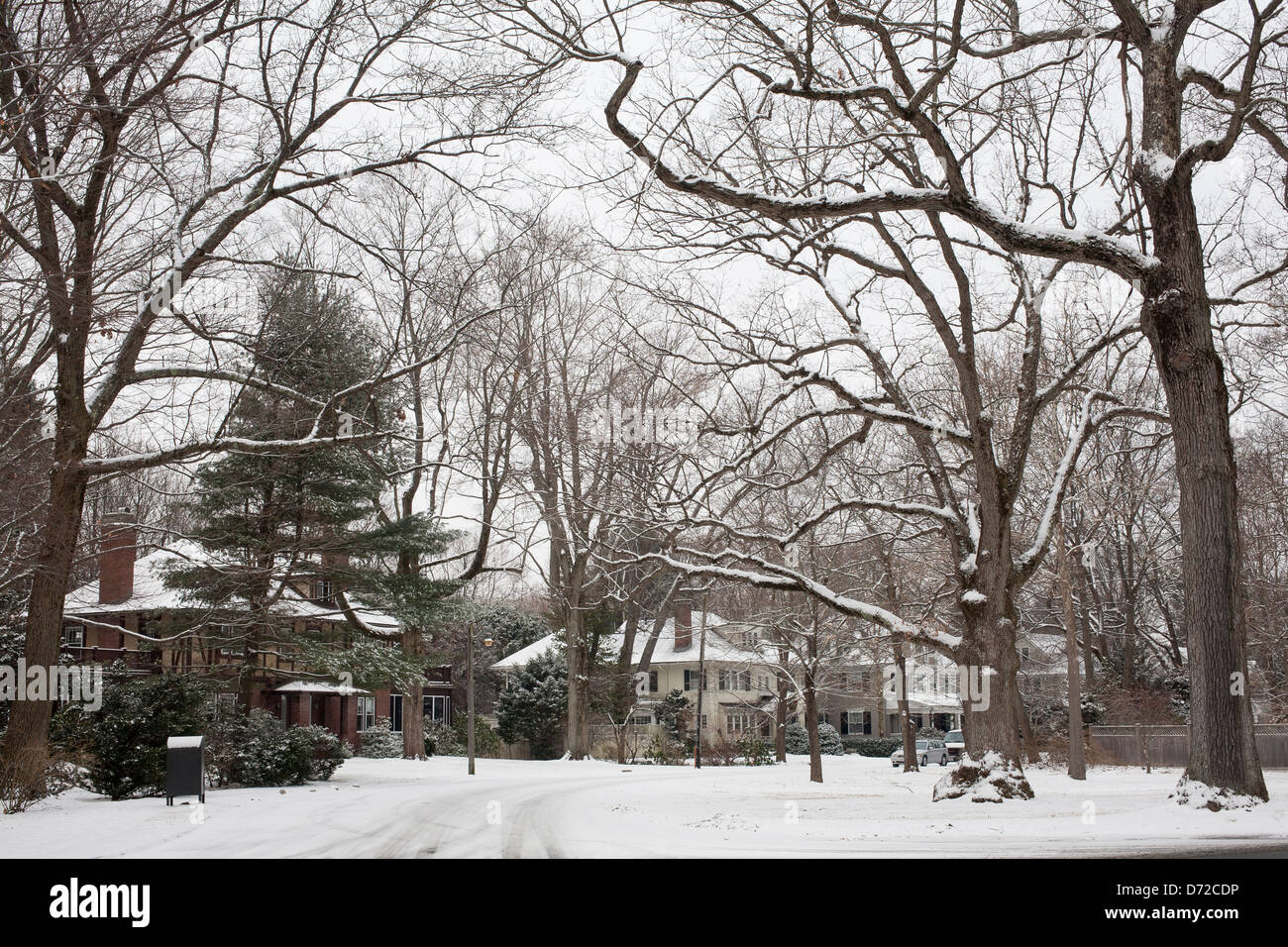 wintry morning in Wellesley, Massachusetts with icy streets Stock Photo ...