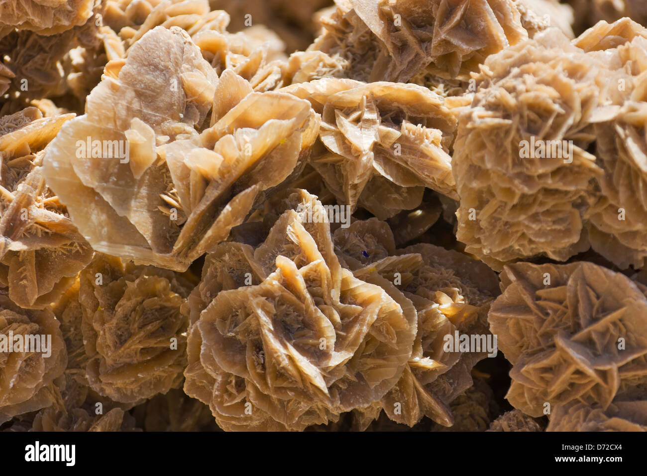 Desert roses, Atlas-Sahara Mountain, near Tozeur, Tunisia Stock Photo ...