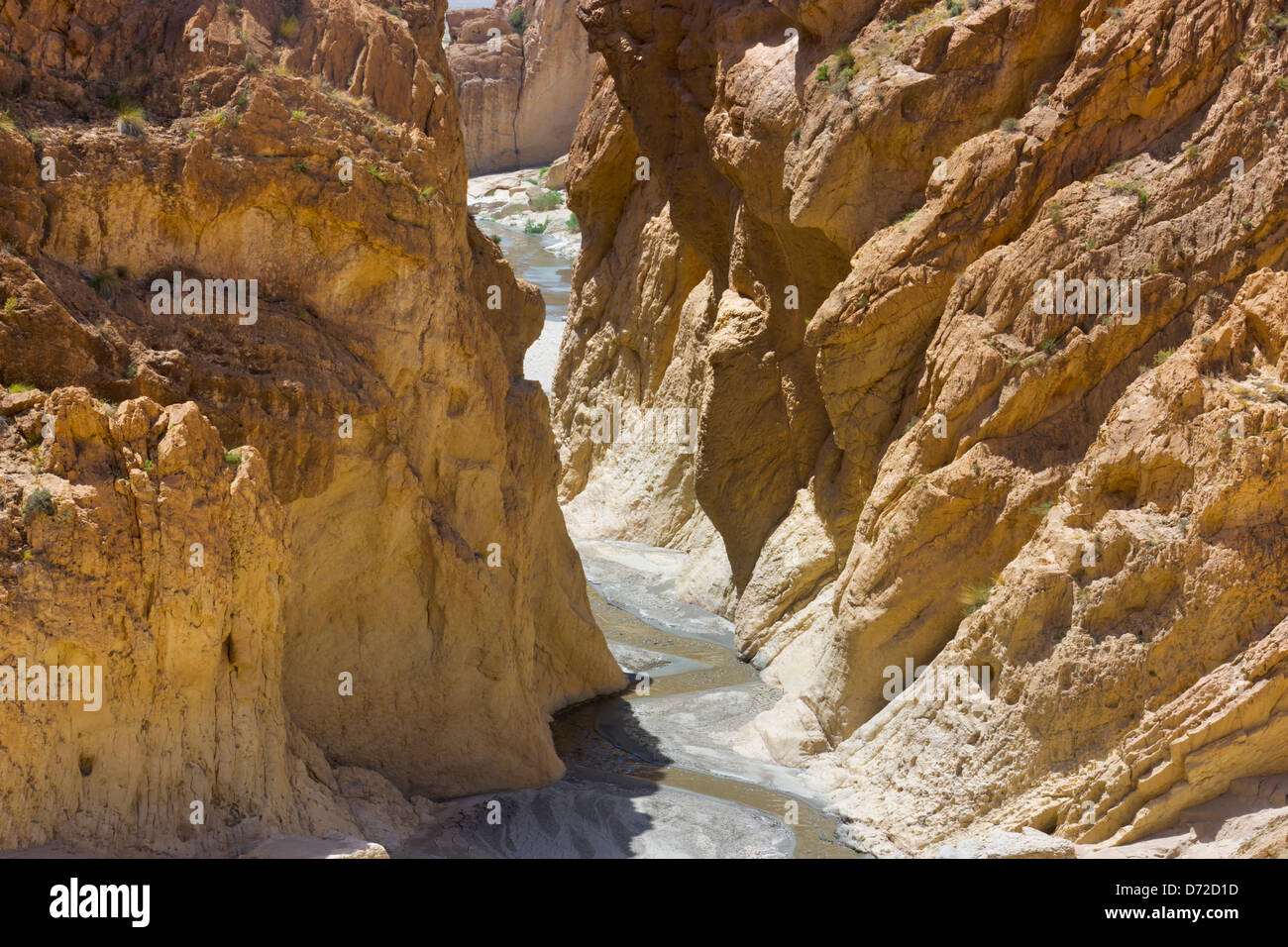 Gorge of Selja in the Atlas-Sahara Mountain, Tunisia Stock Photo - Alamy