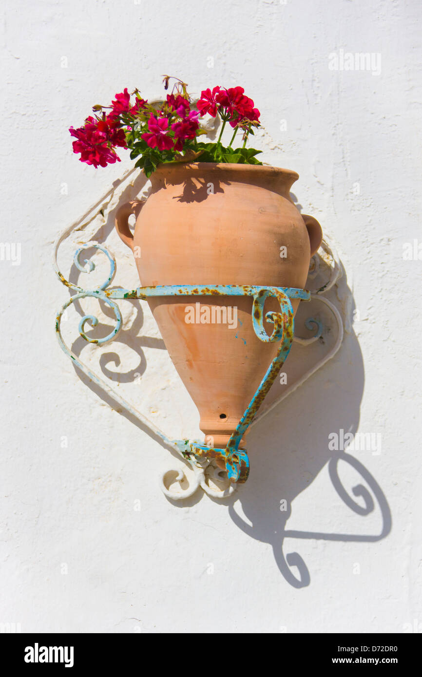 Vase and flower decoration on wall, Mahdia, Tunisia Stock Photo - Alamy