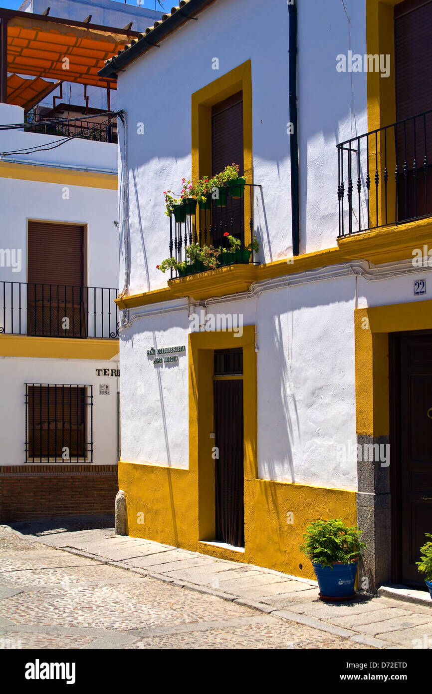 Houses in terrones street in Cordoba, Andalucia, Spain Stock Photo - Alamy