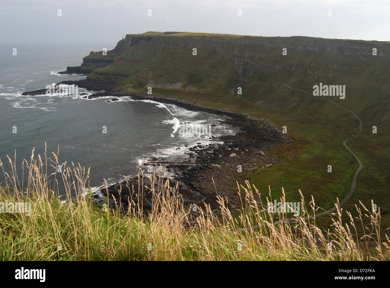 Scenic coastal path in Northern Ireland Stock Photo - Alamy