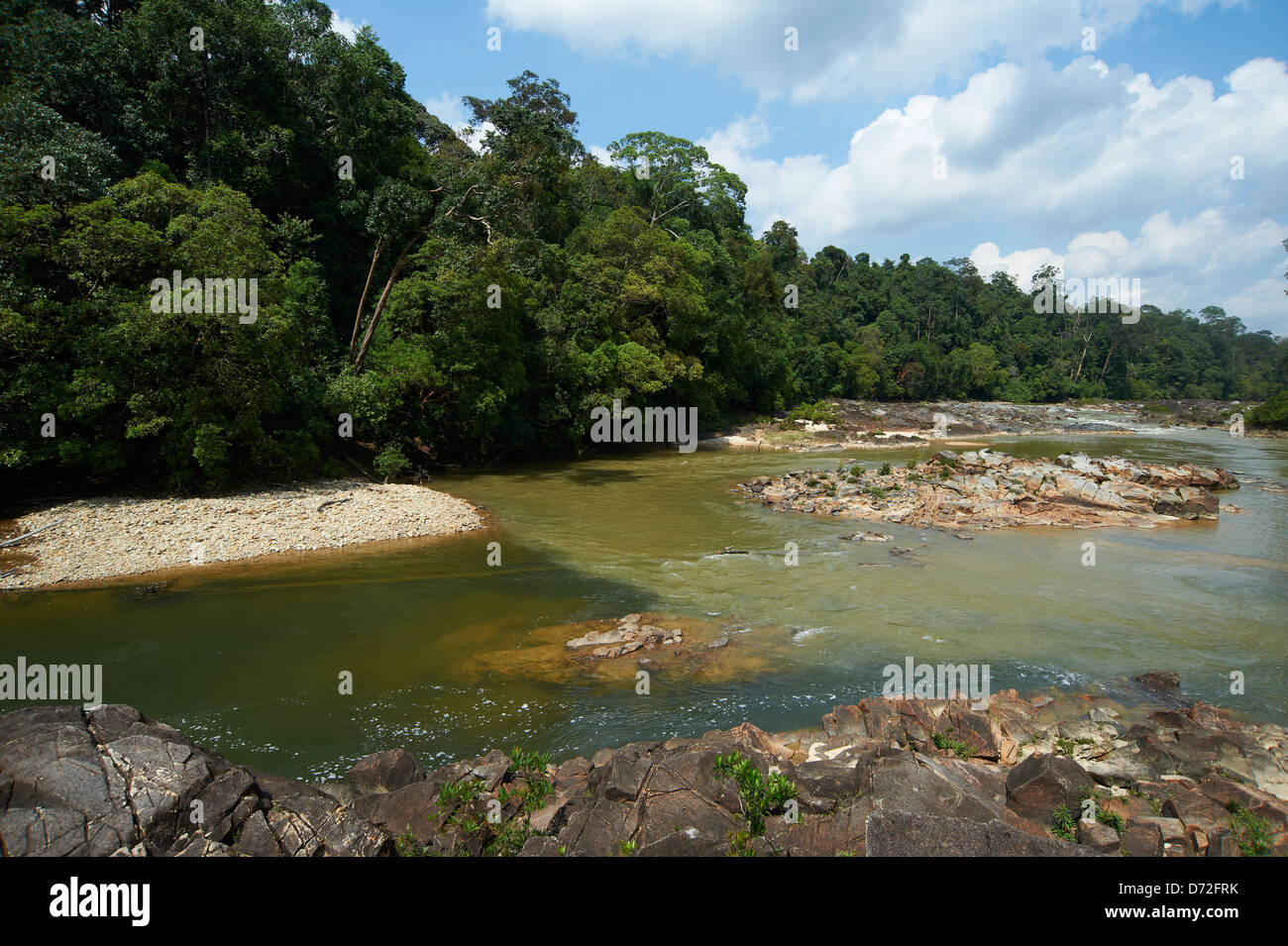 Jungle river in Malaysia Endau-Rompin National Park Stock Photo - Alamy