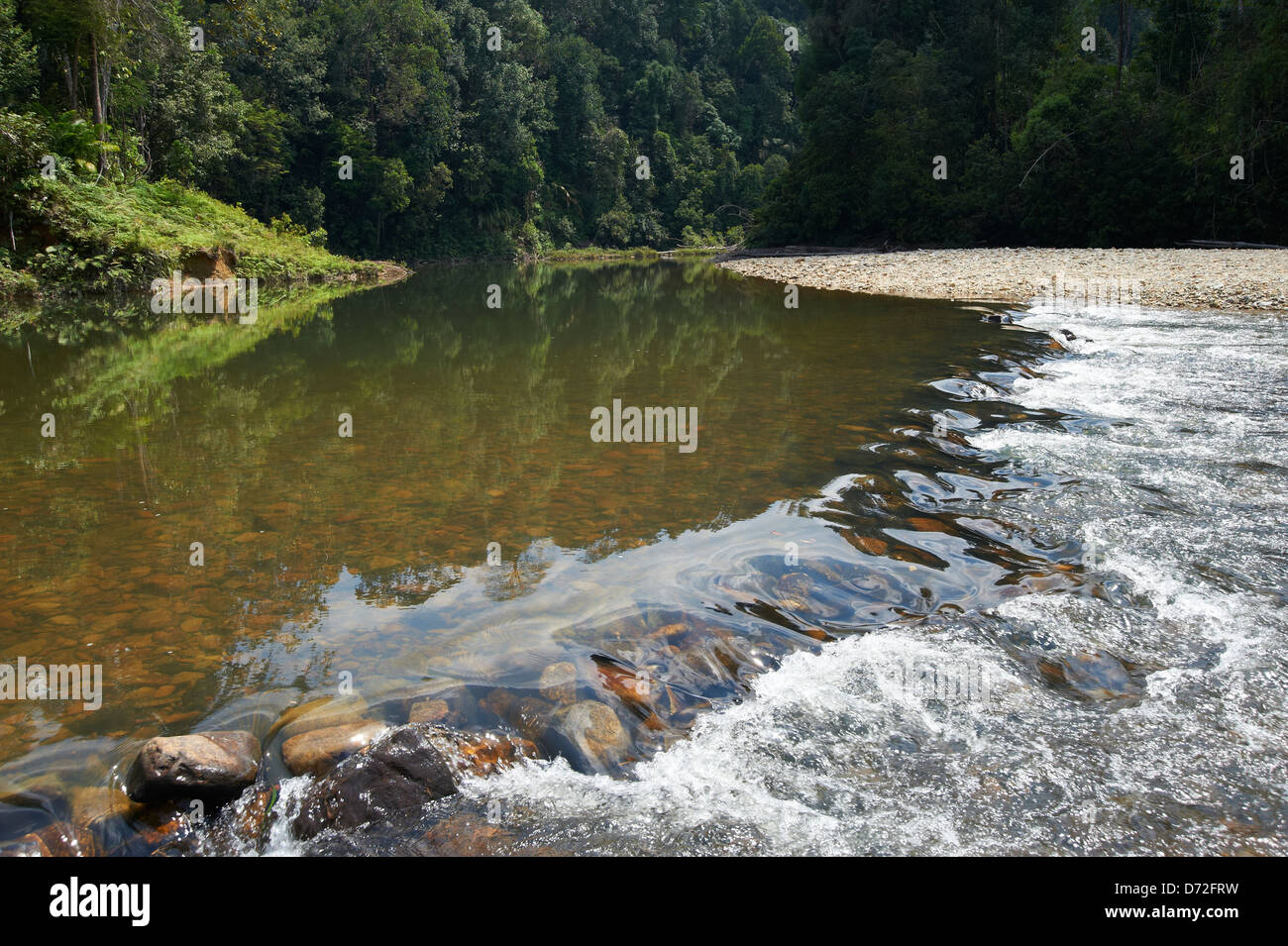 Jungle river in Malaysia Endau-Rompin National Park Stock Photo - Alamy